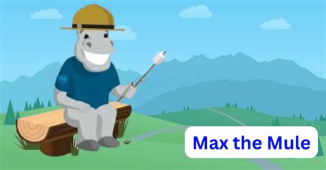 Meet The Salesforce Characters And Mascots A Fun Guide 2025