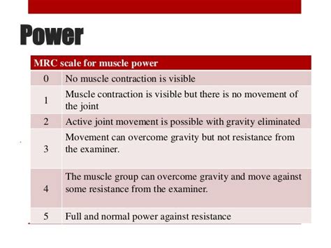 Lower Limb Neurological Examination