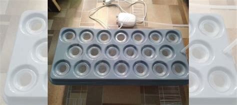 Гидропоника для растений купить в Кемерово Товары для дома и дачи Авито