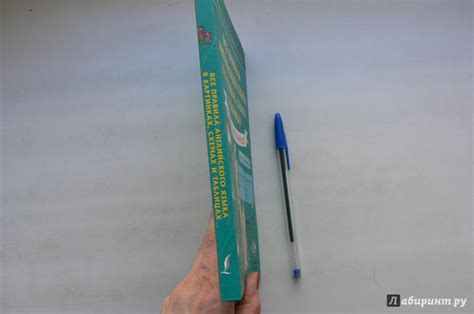 Книга Английский язык Все правила английского языка в картинках схемах и таблицах Сергей