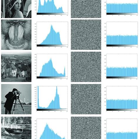 Histogram Analysis X Axis In Histogram Plot Represents Gray Level Download Scientific Diagram