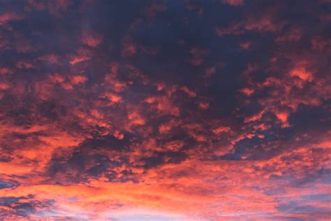 Understanding Cusp Signs In Astrology All Your Questions Answered