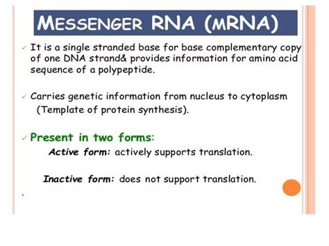 Rna Processing Post Transcriptional Modifications Splicing Capping