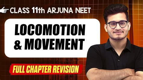 Understanding Locomotion And Movement A Comprehensive Guide For Class