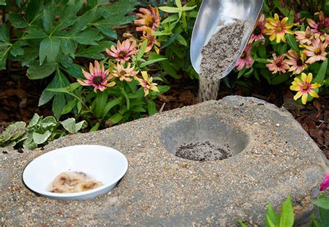 Diy Butterfly Puddler Garden Gate