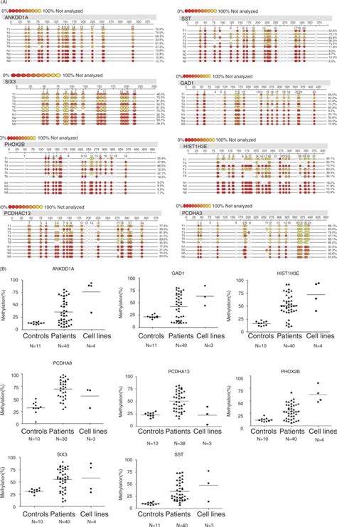 Figure 2 Massarray Methylation Analysis For Glioblastoma