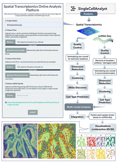 Analysis Single Cell Analyst