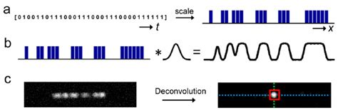 Numerical Reconstruction A Shows The First Step Involving Scaling Download Scientific