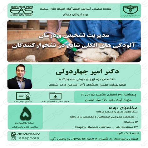 Amir Chahardoli Posted On Linkedin