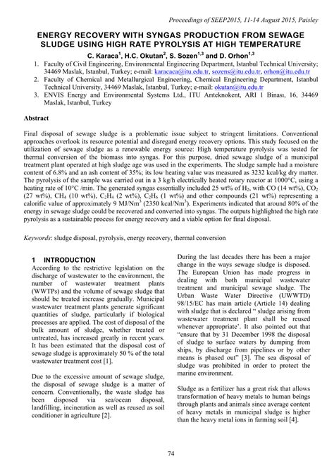Pdf Energy Recovery With Syngas Production From Sewage Sludge Using