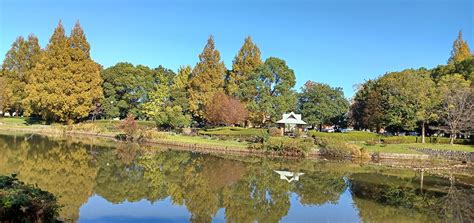 越谷総合公園