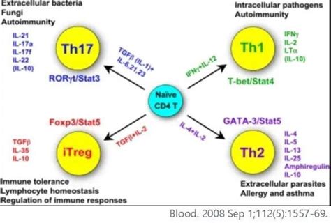 固有免疫与适应性免疫？单细胞功能蛋白质组学帮你理理清 知乎