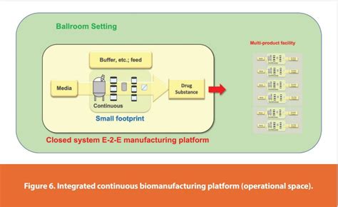 End To End Biomanufacturing Challenges And Opportunities In