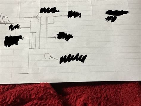 Writing Up Experiments Flashcards Quizlet