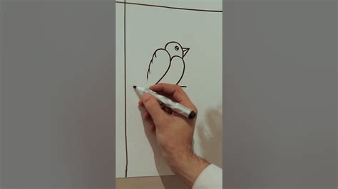 როგორ დავხატოთ ჩიტი Foryou Fyp Viral Valetovs Youtube