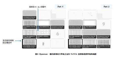使用 Opentrons 蛋白质纯化工作站进行基于 Ni Nta 磁珠的蛋白质纯化 Opentrons中国官网