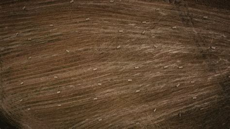 갈색 머리 질감의 클로즈업 사진 Unsplash의 무료 여행하다 이미지