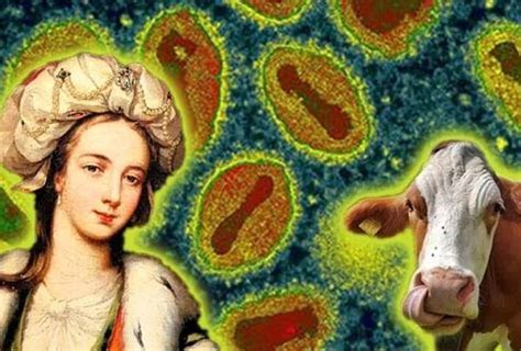 Vaccino E Vaiolo Due Storie In Una Missione Scienza