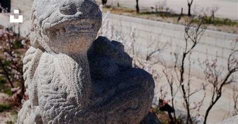 회색 바위에 회색 콘크리트 동상 사진 Unsplash의 무료 해태 이미지