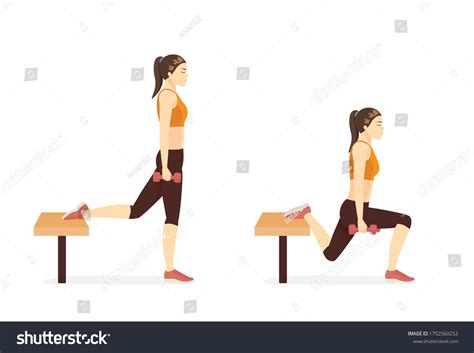 Bulgarian Split Squats Over 59 Royalty Free Licensable Stock Vectors