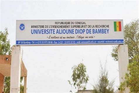 Infrastructures Université De Bambey Des Enseignants Invitent Leur