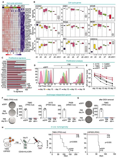 Restoring Tumor Immunogenicity With Dendritic Cell Reprogramming Pmc