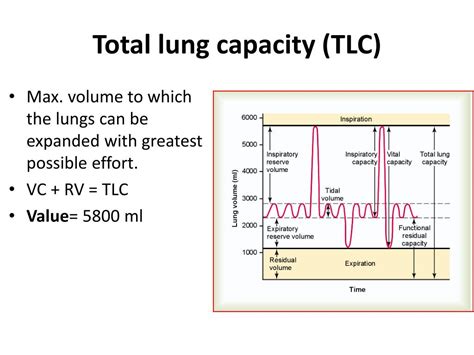 Ppt Lung Volumes And Lung Capacities Powerpoint Presentation Free