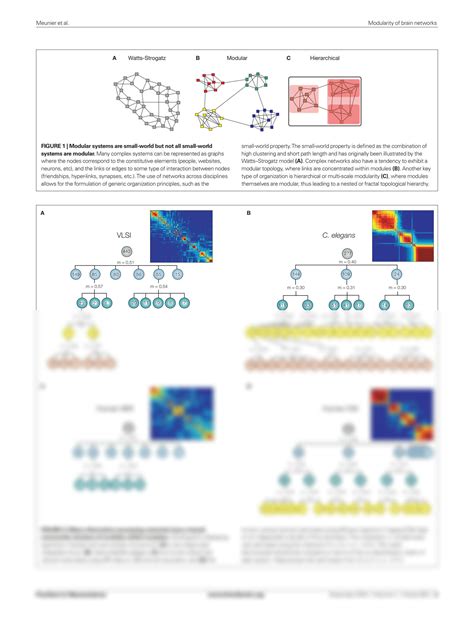 solution modular and hierarchically modular organization of brain