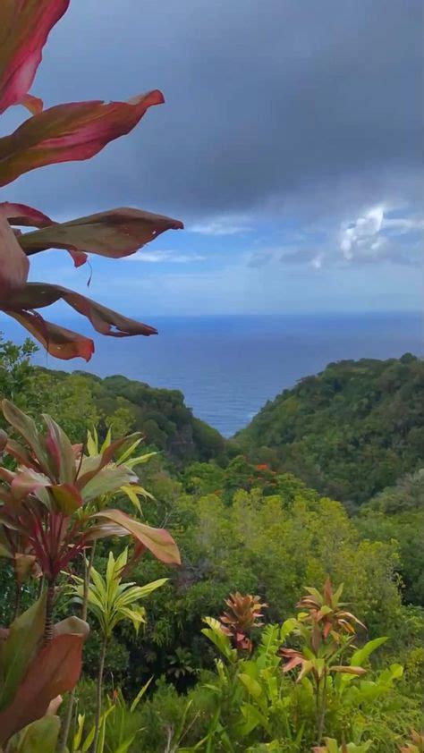 Top Maui Hawaii Aesthetic Ideas And Inspiration