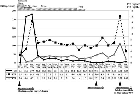 Time Course Of Thyroid Function The First Thyrotoxicosis Episode Was Download Scientific