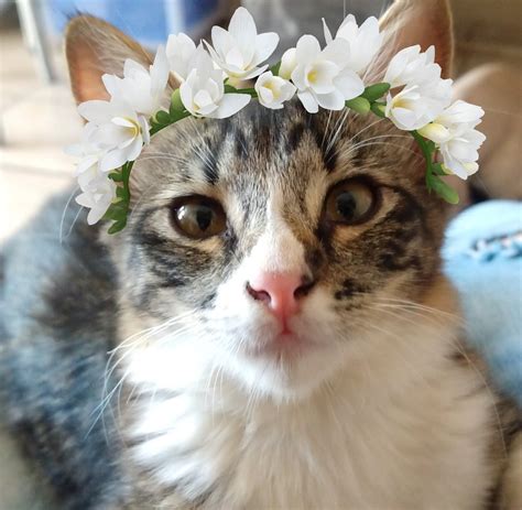 L Д L Ф C Д D Ξ L F Д И D Ф M