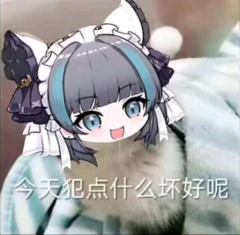 关于柴郡猫表情包34张无水印 哔哩哔哩