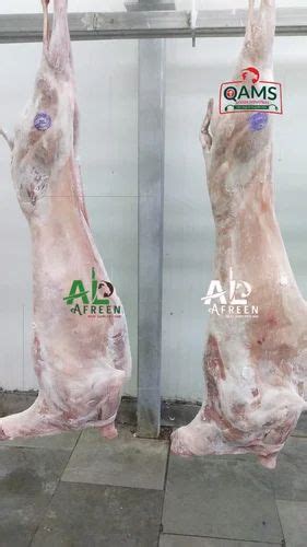With Bone Frozen Mutton Carcass At ₹ 625kg In Hyderabad Id