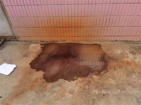 兴宁金源花园小区污水横流、还有垃圾、脏积水