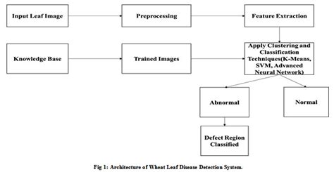 An Identification And Detection Process For Leaves Disease Of Wheat Using Advance Machine