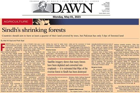 Altaf Ali Siyal On Linkedin My Article On Depleting Forests In Sindh