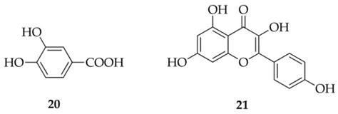 Propolis Extract And Its Bioactive Compounds—from Traditional To Modern Extraction Technologies
