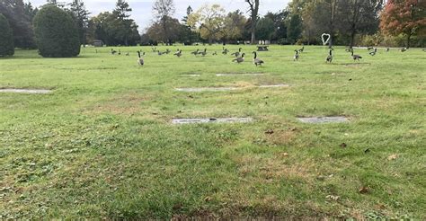 Chapel Hill Gardens South In Oak Lawn Illinois Find A Grave Cemetery