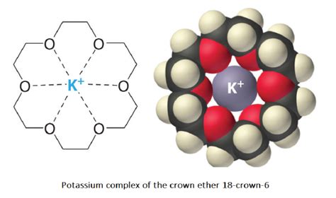 187 Crown Ethers Chemistry Libretexts