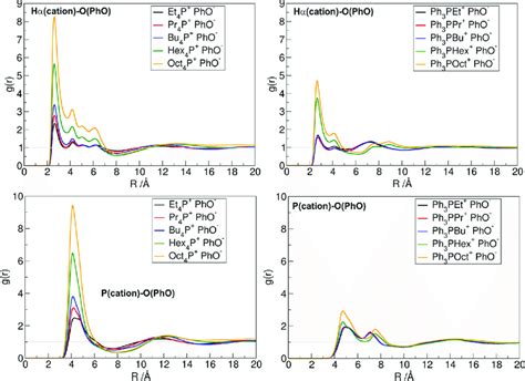 Relevant Radial Pair Correlation Functions For The Liquid Models