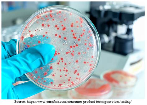 Bacteriological Examination Of Water Eurofins Scientific