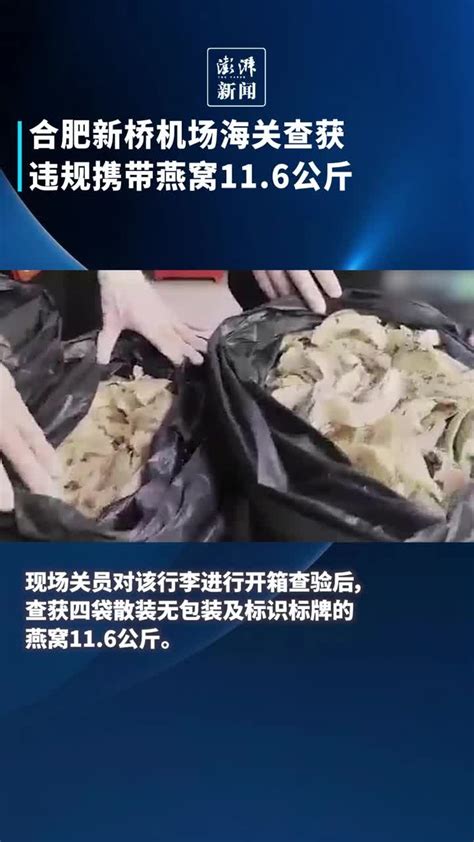 合肥新桥机场海关查获违规携带燕窝11 6公斤 凤凰网视频 凤凰网