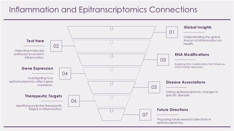 Exploring Epitranscriptomics The Future Of Rna Research Ppt Information Acp Ppt Example
