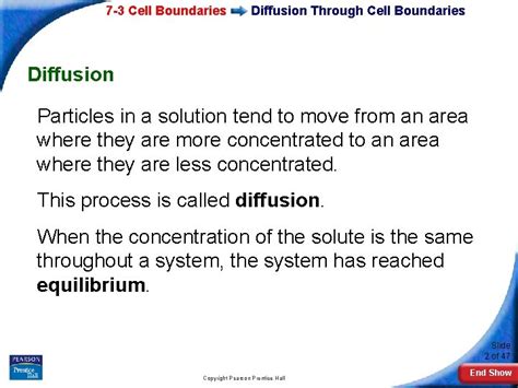 7 3 Cell Boundaries Diffusion Through Cell Boundaries