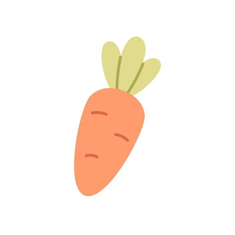 Premium Vector Cute Fresh Carrot Root Vegetable Vector Illustration