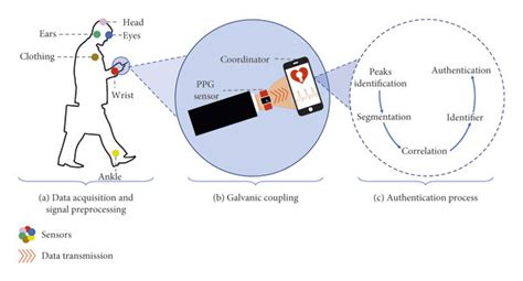 Steps Of The Beat Authentication System Download Scientific Diagram