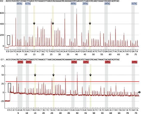 Pyrosequencing Runs Of Different Quality Figure A Shows A