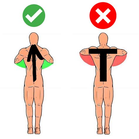 Personal Training In Toowoomba Online The Gym Starter