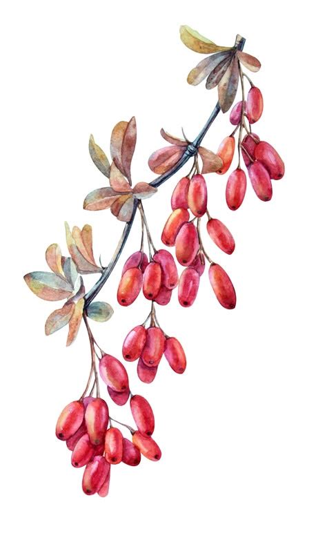 Королина Korolinabelkina2002 — профиль Pinterest