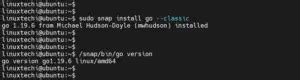 How To Install Go Golang On Ubuntu Linux Step By Step